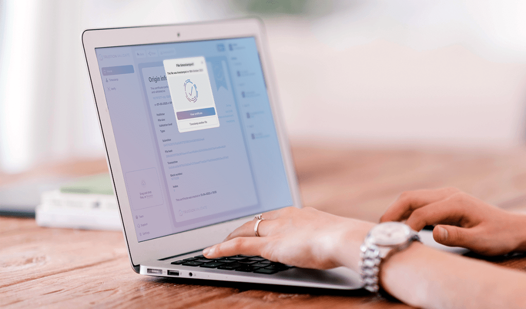 Blockchain-based Digital Identity Solutions - Trustion Validate